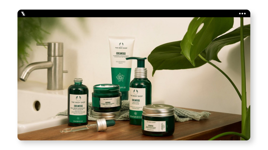 Sustainable Branding: Definition & Examples + 7 Strategies